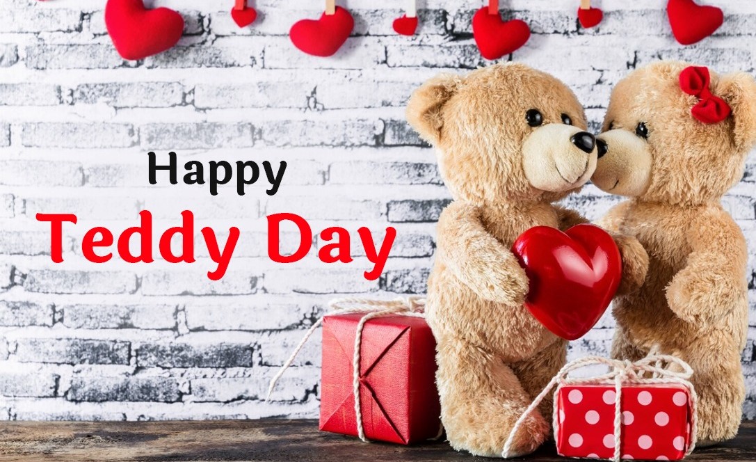 Happy Teddy Day 2022 – daneelyunus