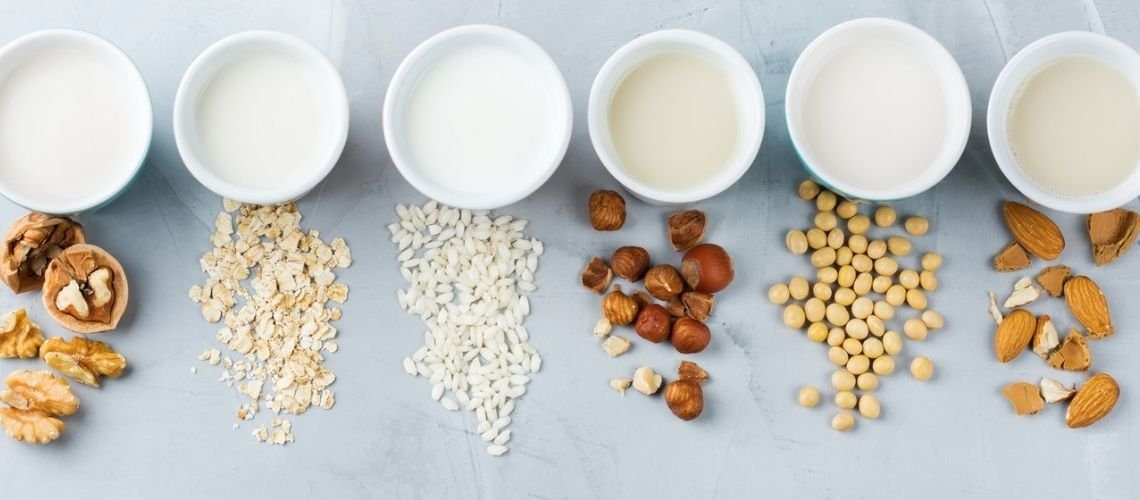 18 Different Types of Plant-Based Milk – daneelyunus