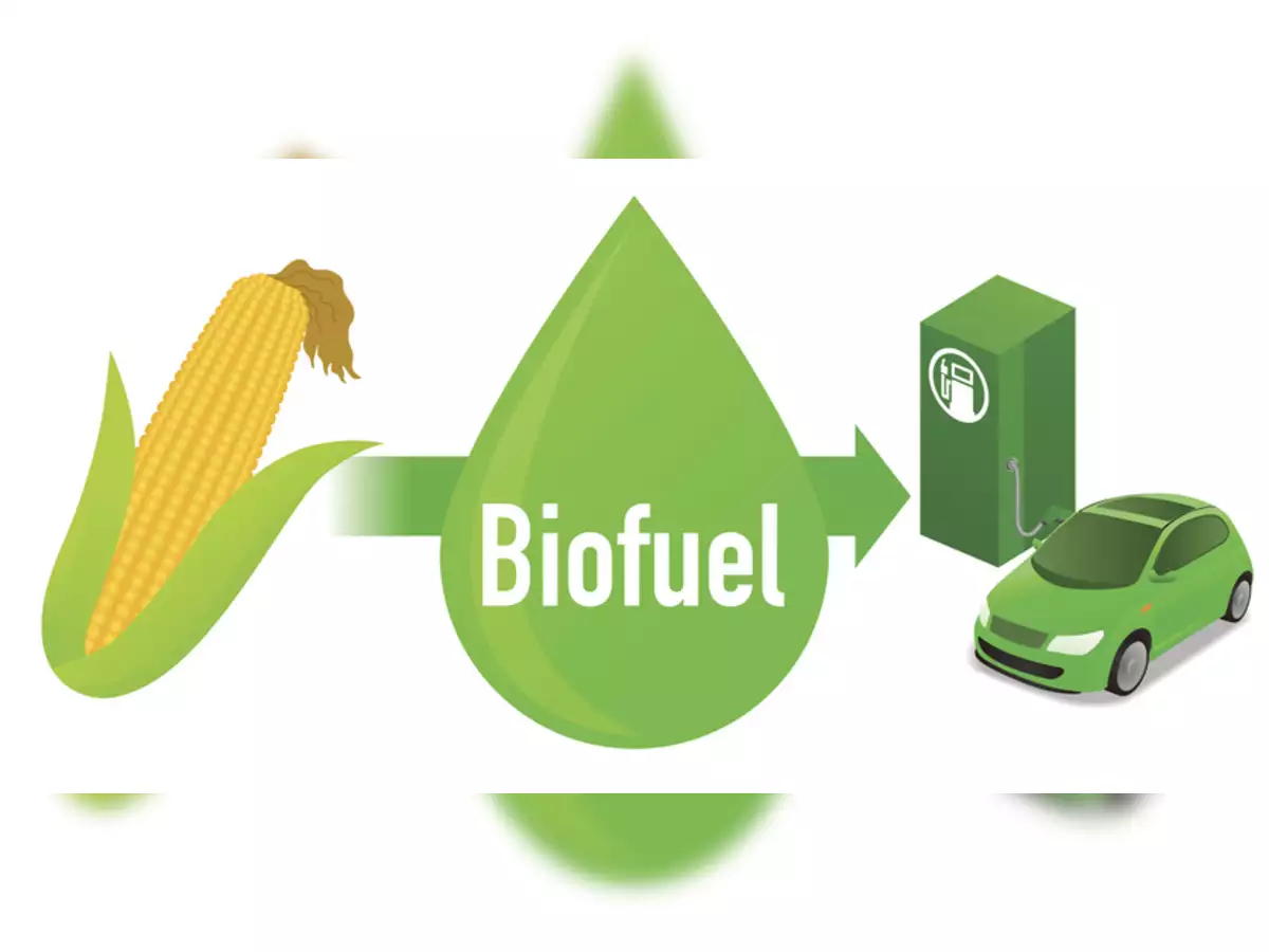 6 Amazing Uses of Biofuel – daneelyunus