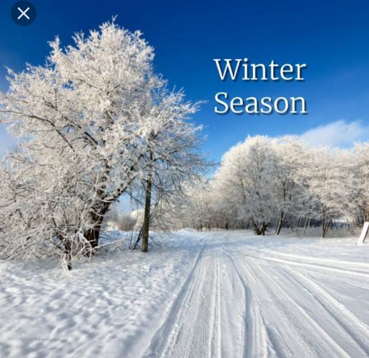 My Favourite Season – daneelyunus