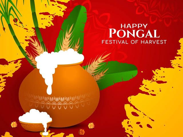 Happy Pongal 2025 – daneelyunus