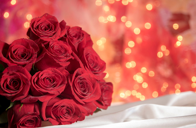 Red Roses: Symbol of Romantic and True Love – daneelyunus
