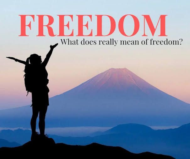 Freedom Life – daneelyunus