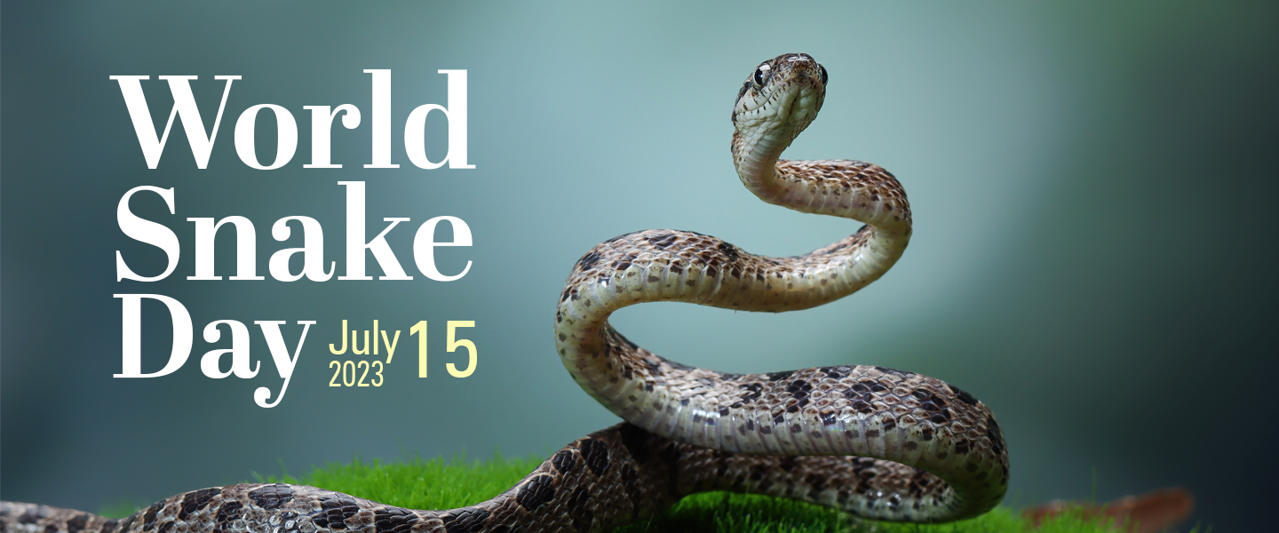World Snake Day 2025 – daneelyunus