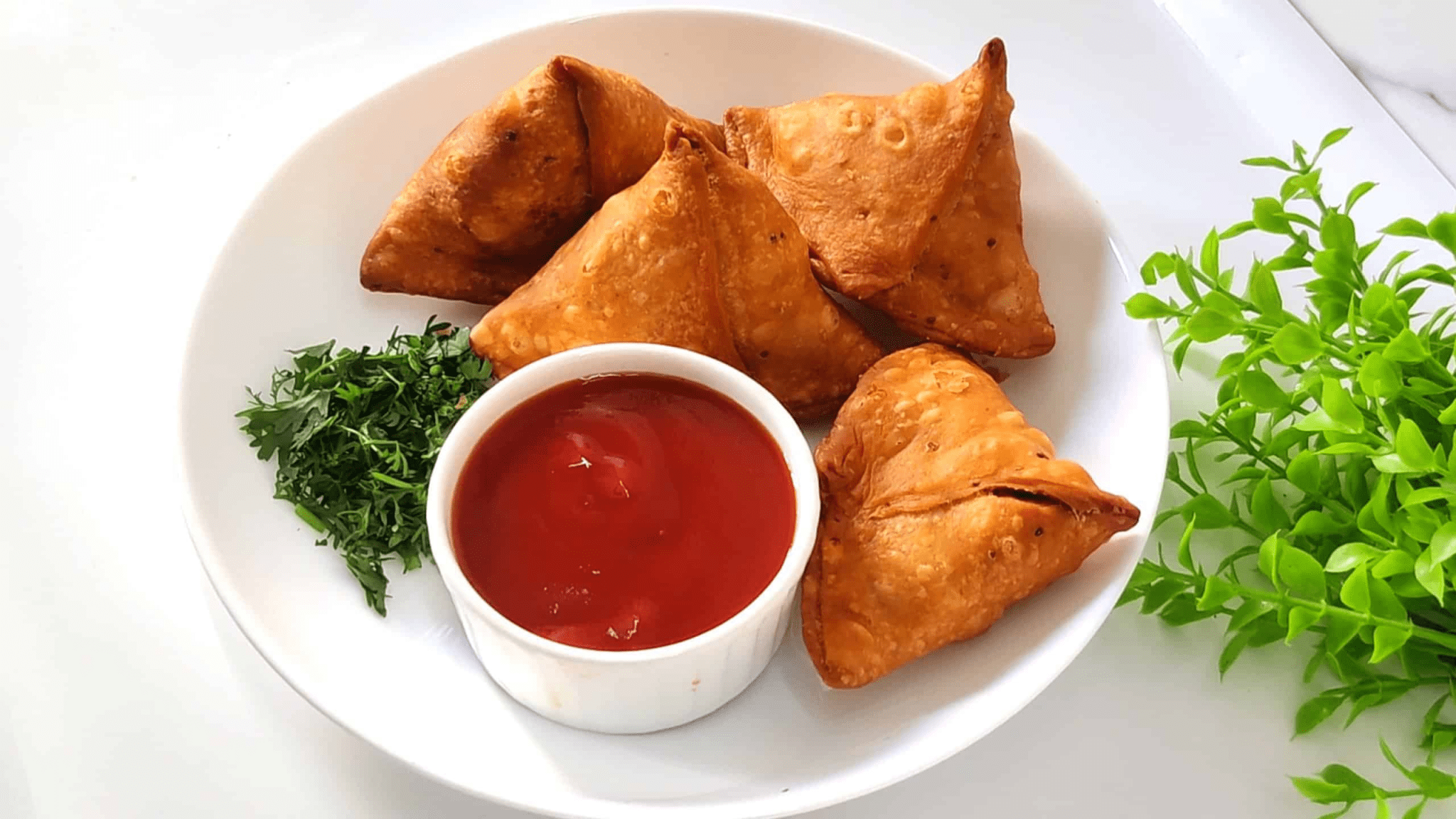 12 Impressive Facts about Samosa – daneelyunus