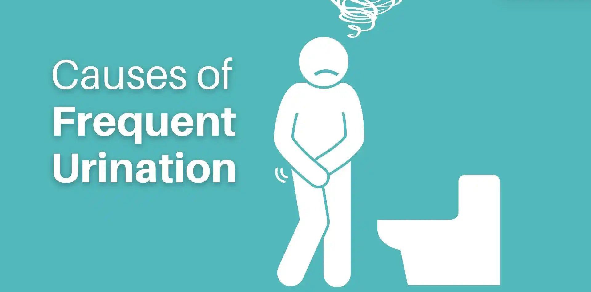 10 Main Causes of Frequent Urination – daneelyunus