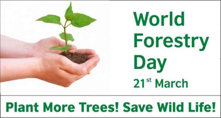 World Forestry Day 2026 – daneelyunus